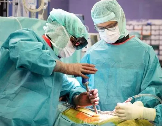 Materials and Devices: An Insight into Spinal Fusion Surgery Products ...